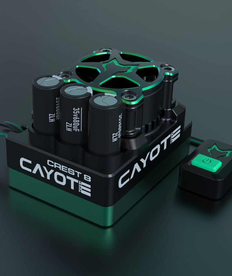 Motor and ESC Designed for RC Racing Car - Cayote