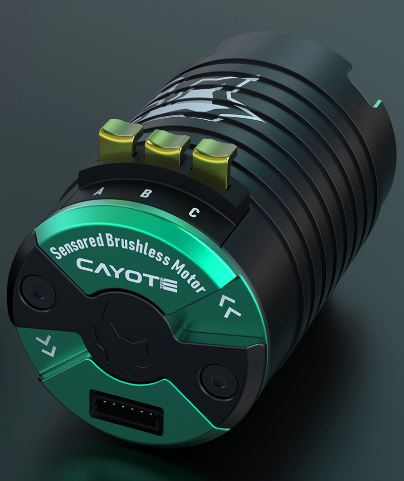 Motor and ESC Designed for RC Racing Car - Cayote