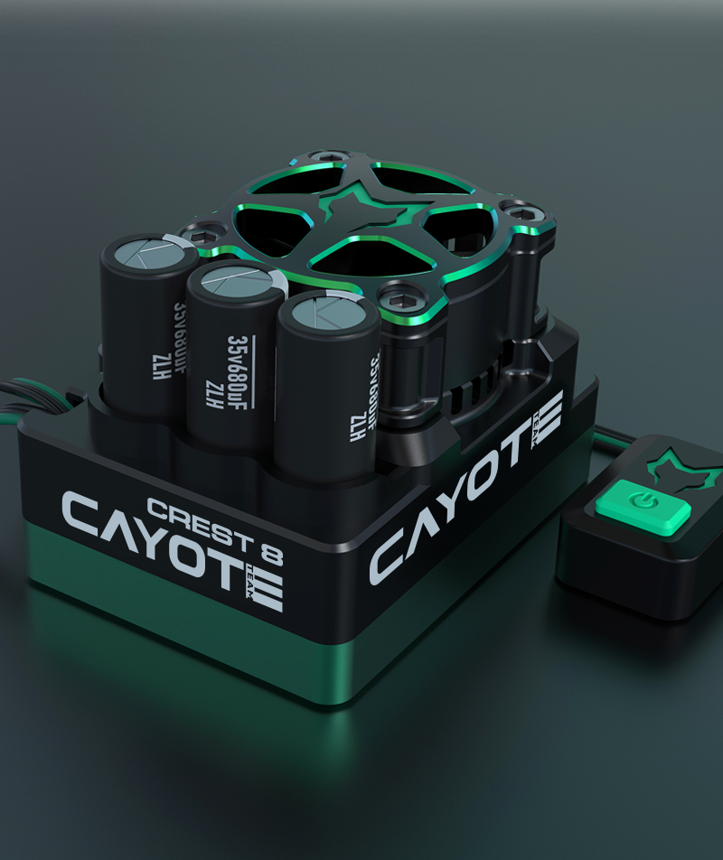 RC Electronics Designed for Racing - Cayote