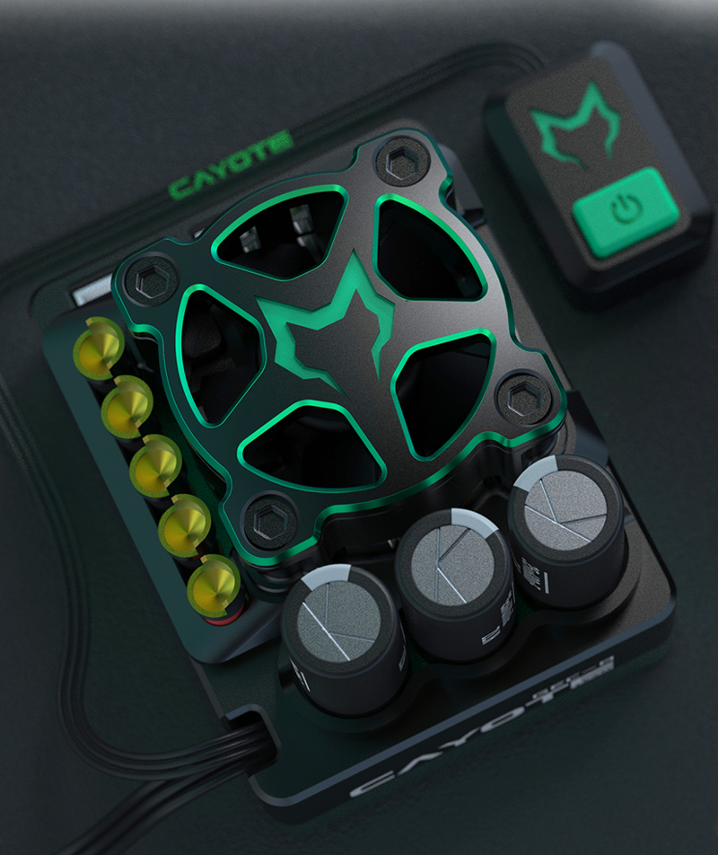 RC Electronics Designed for Racing - Cayote