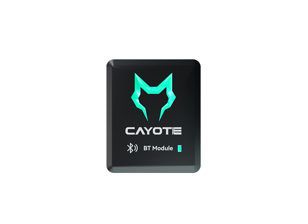 Accessories - Cayote