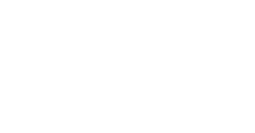 2-Force X5 - Cayote